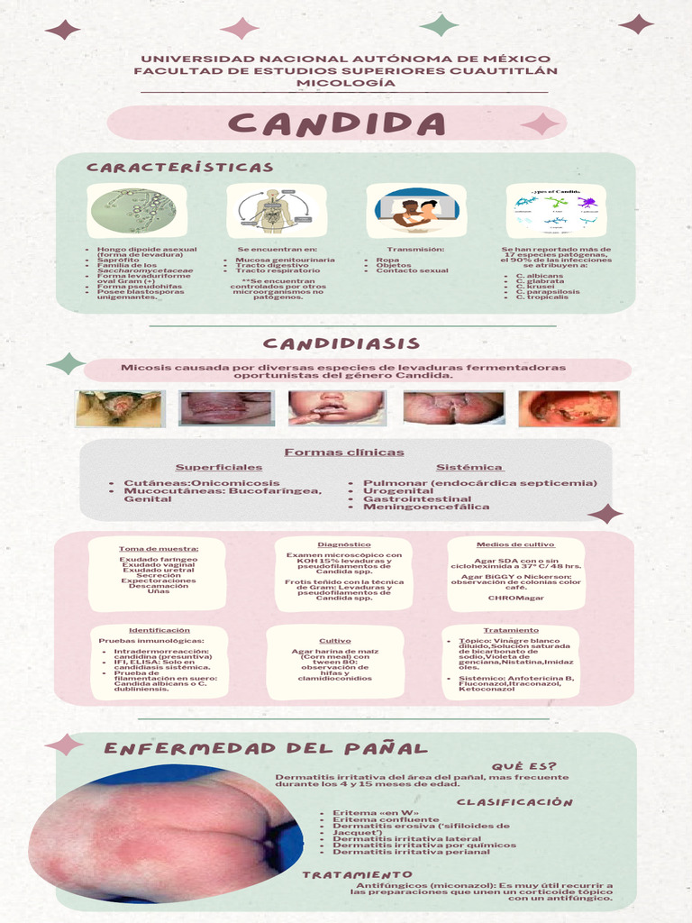 Examen Candida | PDF