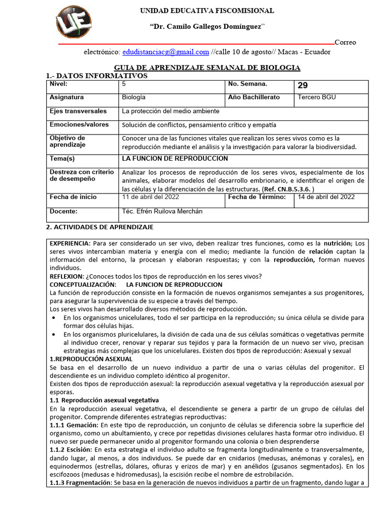 Ficha Semana 29-3ero Bgu Biologia-Efren | PDF | Reproducción sexual | Espora