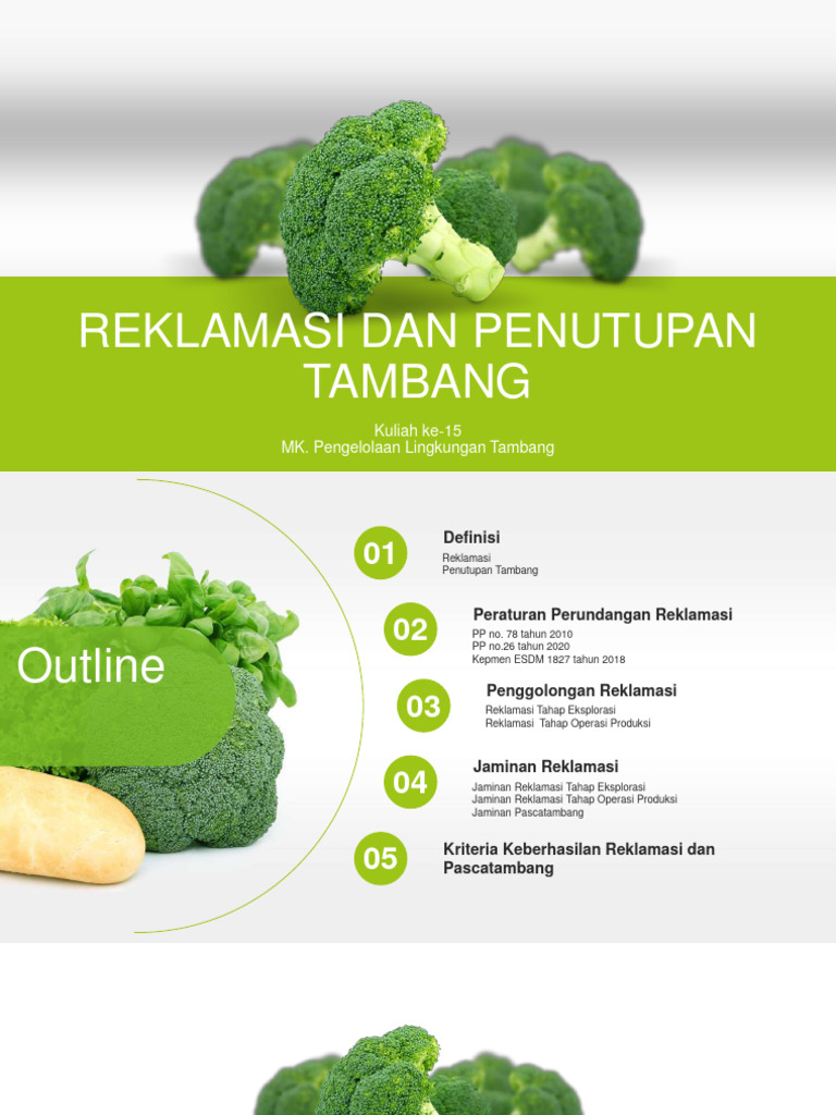 Reklamasi Dan Penutupan Tambang | PDF