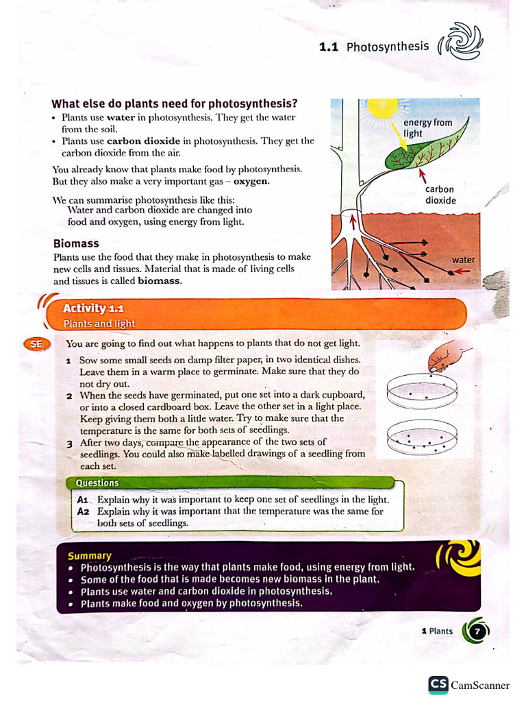 Cambridge Checkpoint Science (Biology) 8 | PDF