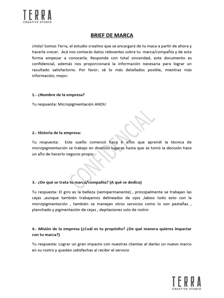 Andu Brief | PDF | Marca | Facebook