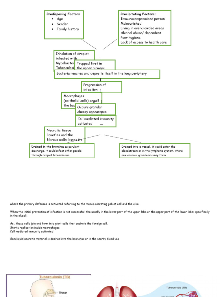 Predisposing Factors Precipitating Factors | PDF