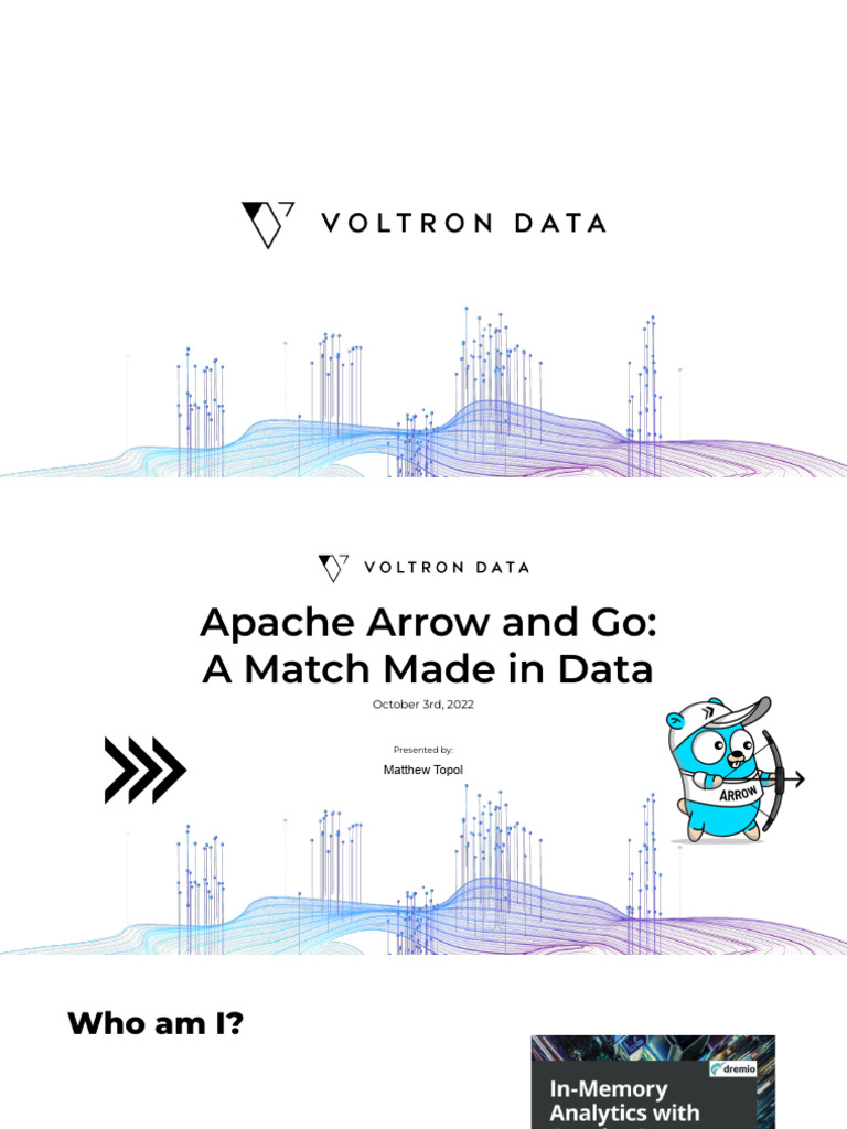 01 Topol Arrow and Go | PDF | Comma Separated Values | Computing