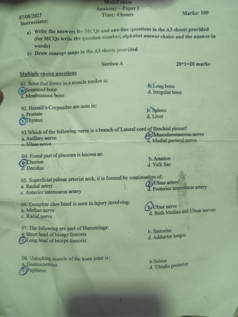 Anatomy Model Paper 1 | PDF