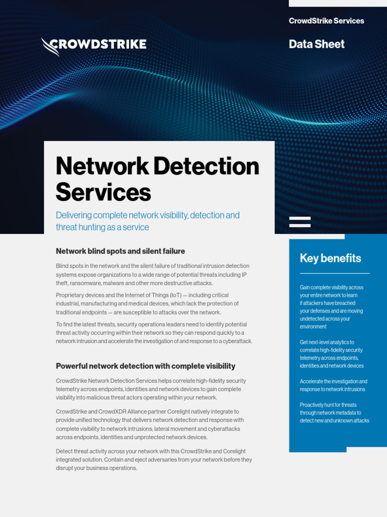 Network-Detection-Services-DataSheet | PDF