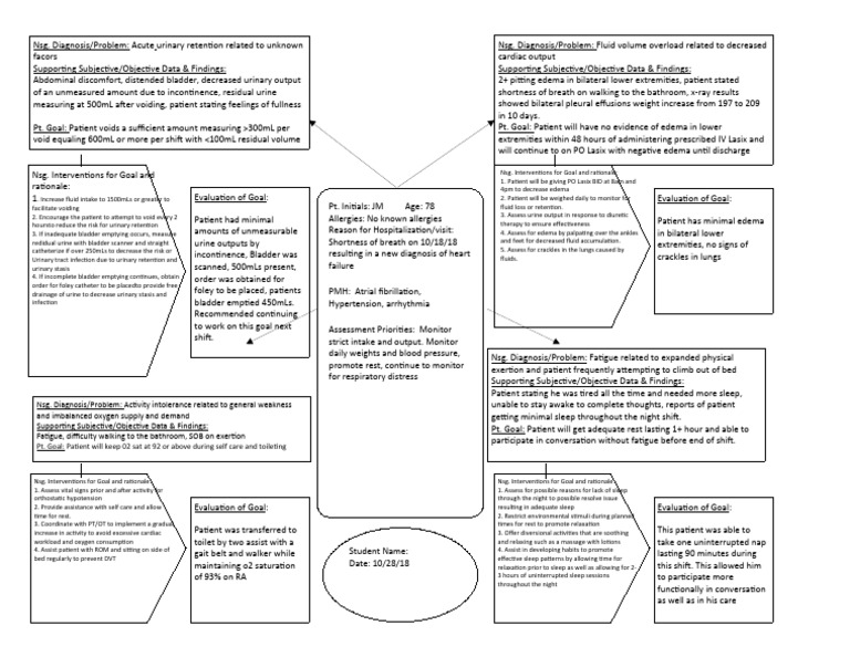 Concept Map Good Example | PDF | Urinary Incontinence | Urology