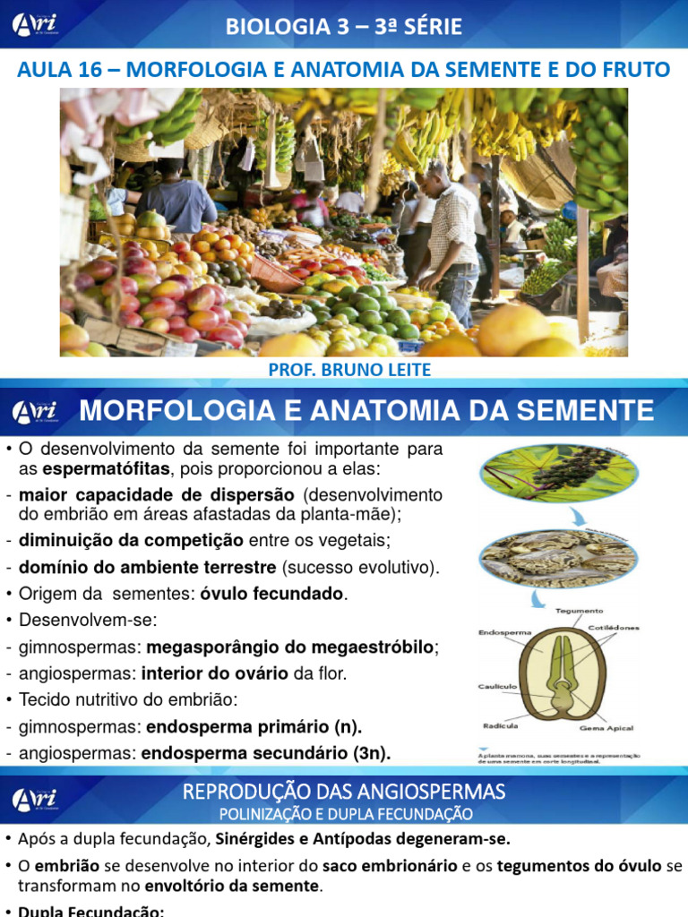 Aula 16 - Morfologia e Anatomia Da Semente e Do Fruto | PDF | Casa e ...
