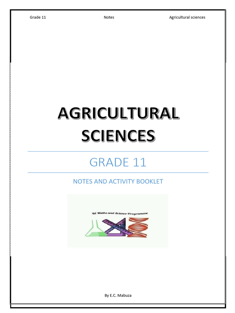 GRADE 11 Year Notes and Class Activities | PDF