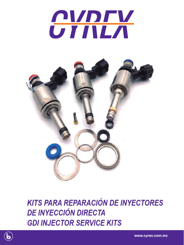 Kits de Reparación para Inyectores GDI | PDF | Finanzas y dinero | Tecnología