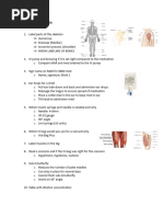 IV Taping Techniques and Protocols | PDF | Intravenous Therapy | Wellness