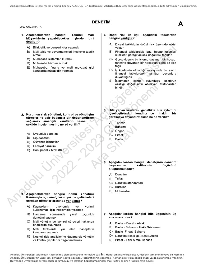 Denetim Ara Sınav | PDF