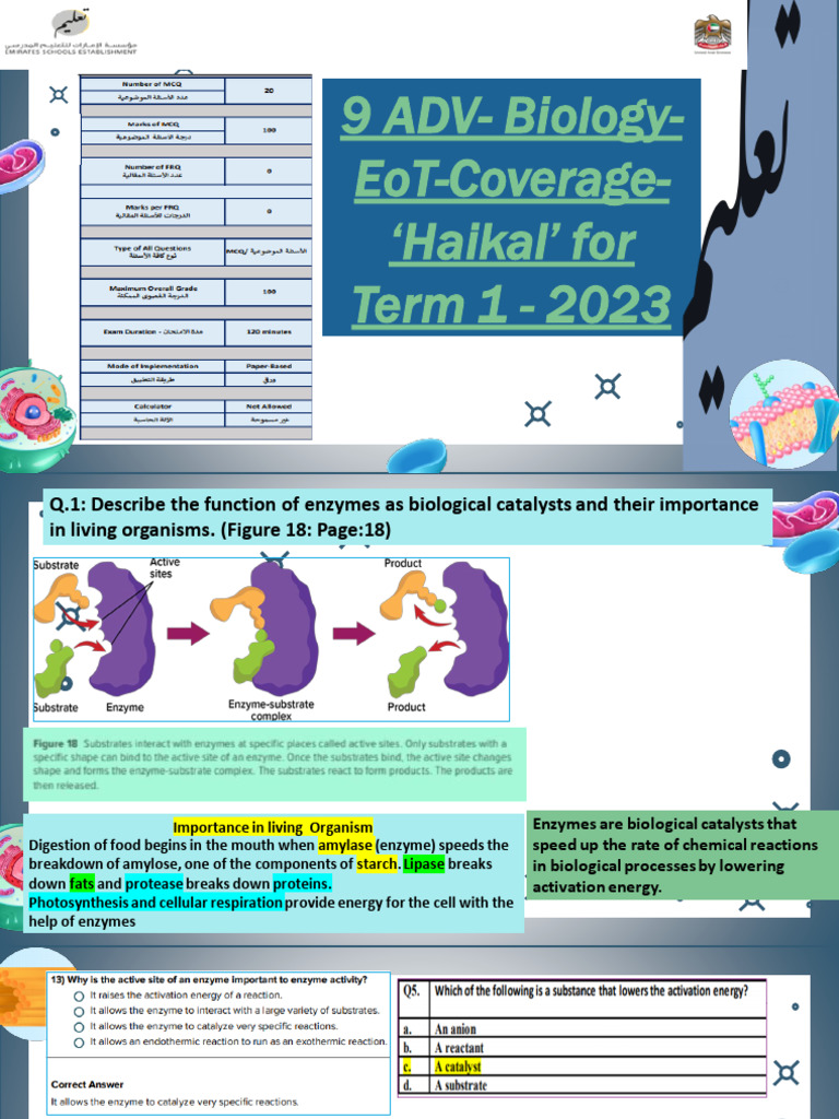 9 ADV - Inspire-Coverage Based Practice - Term1 - 2023 | PDF