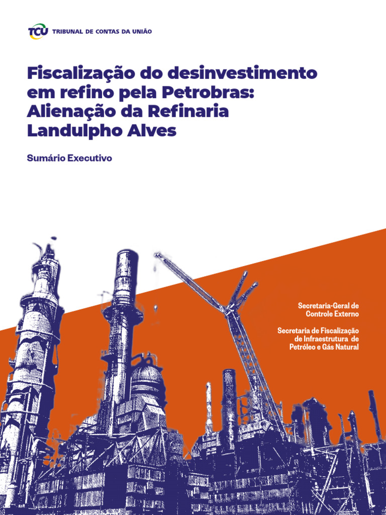 Sumario Executivo TCU RLAM 1 | PDF