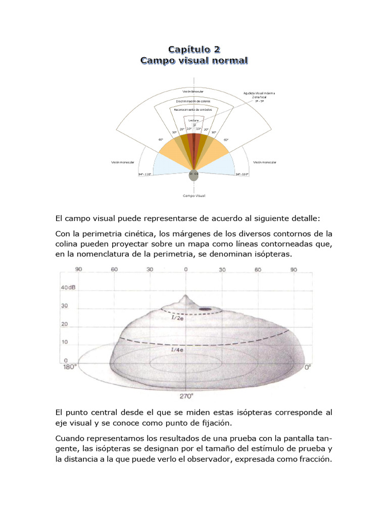 CAPITULO 2 CAMPO VISUAL NORMAL | PDF
