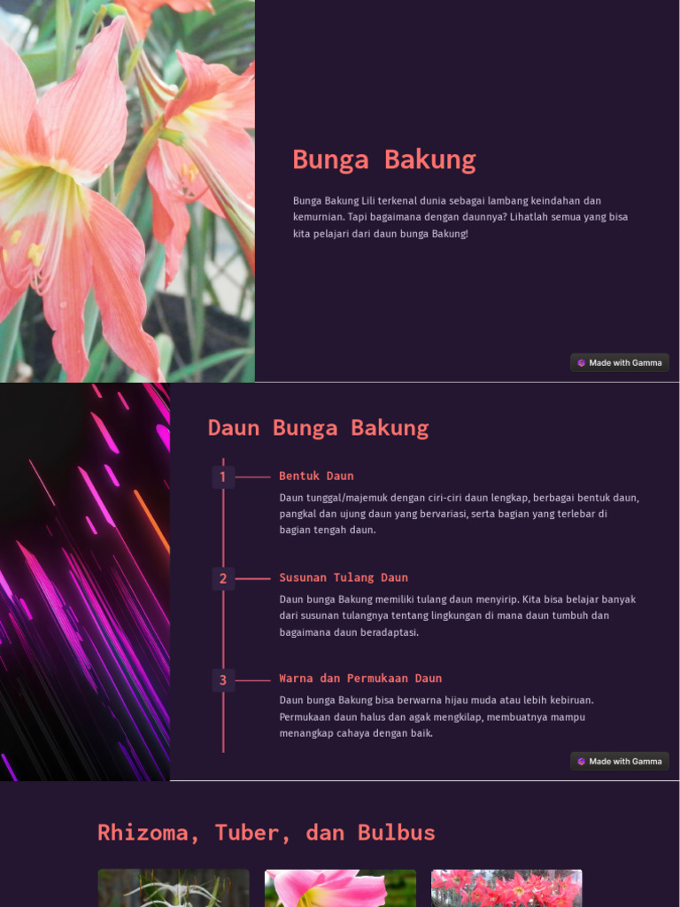 Ciri dan Manfaat Bunga Bakung | PDF | Griya & Taman | Sains & Matematika