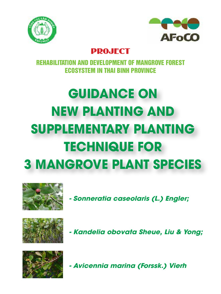 Mangrove Planting Techniques Guide | PDF | Mangrove | Estuary