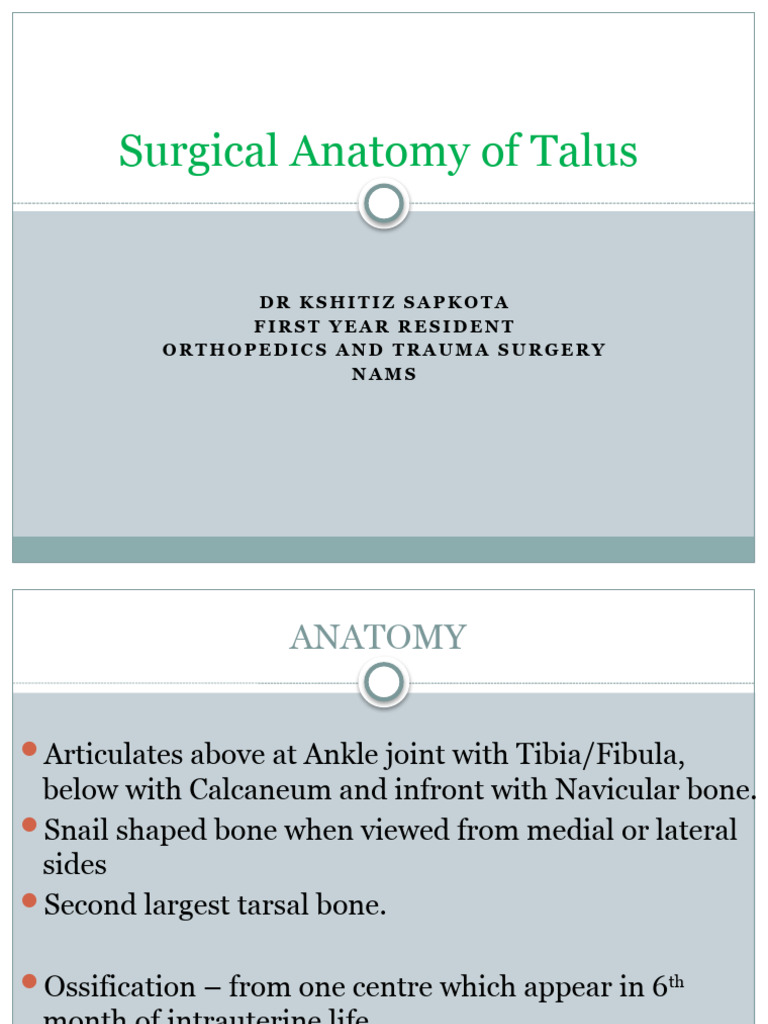 Surgical Anatomy of Talus | PDF