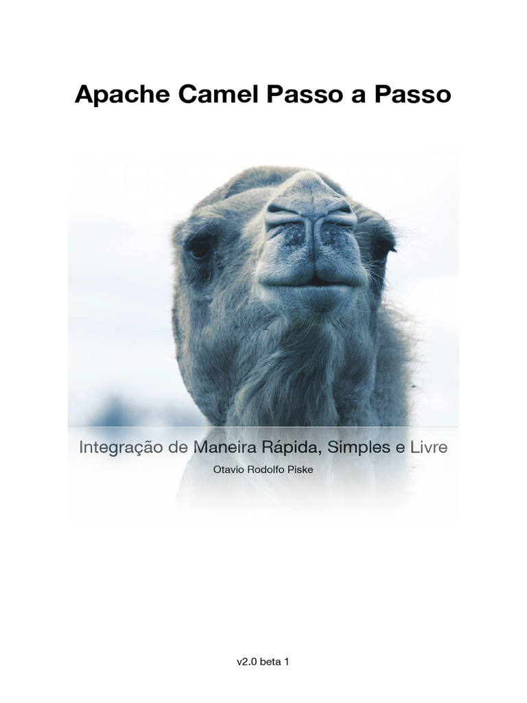 Camel Passo A Passo v20 Beta1 | PDF | Roteador (informática) | Classe ...