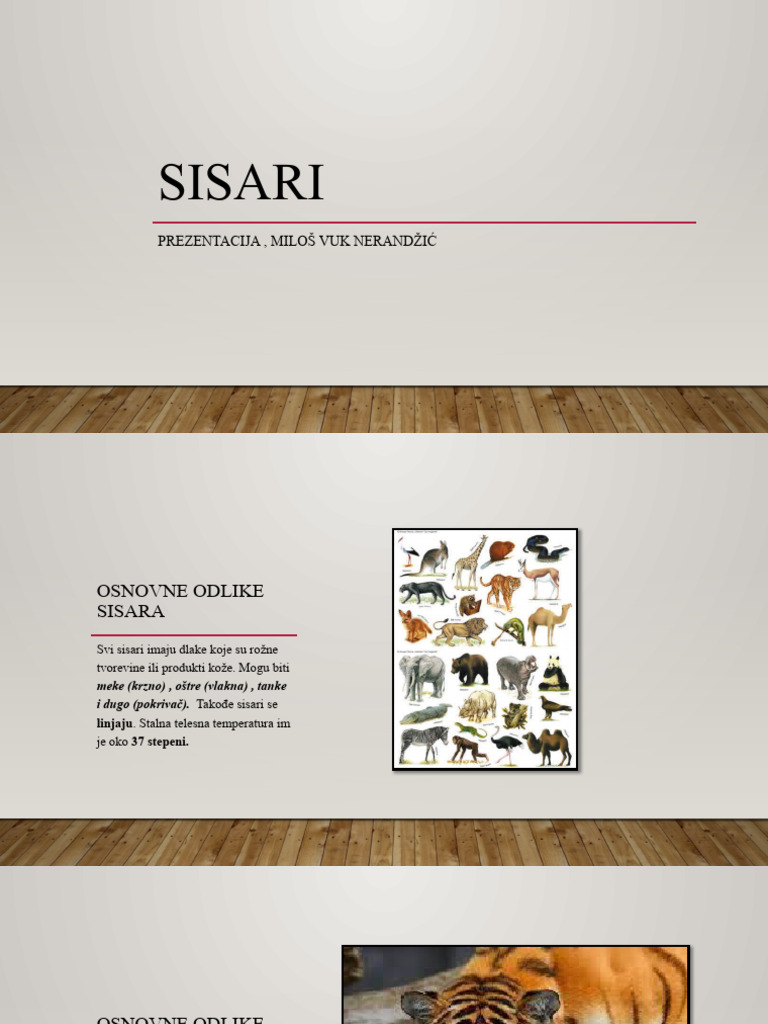 SISARI | PDF