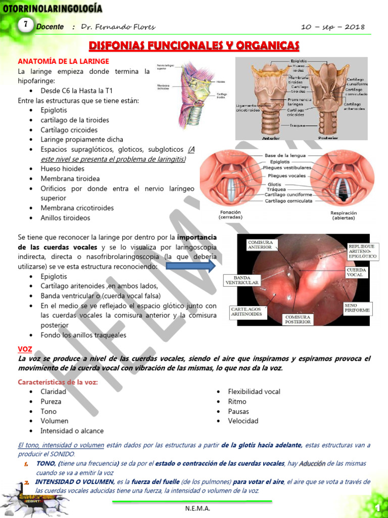 Disfonías: Anatomía y Clasificación | PDF