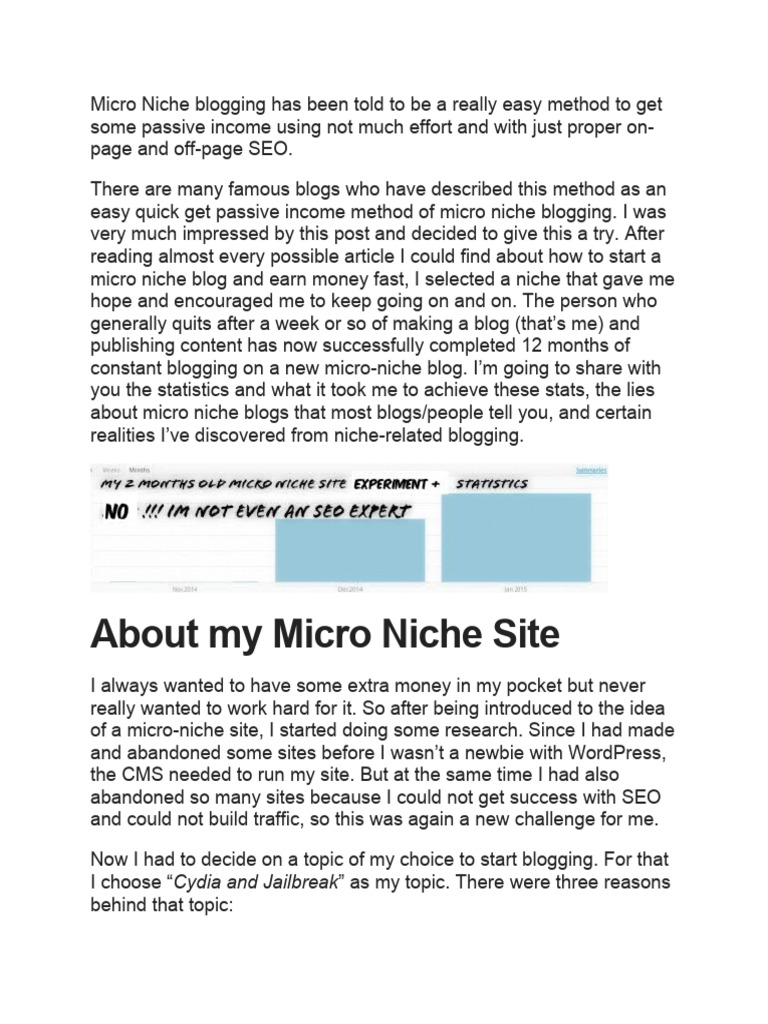 Micro Niche Blogging Success Journey | PDF