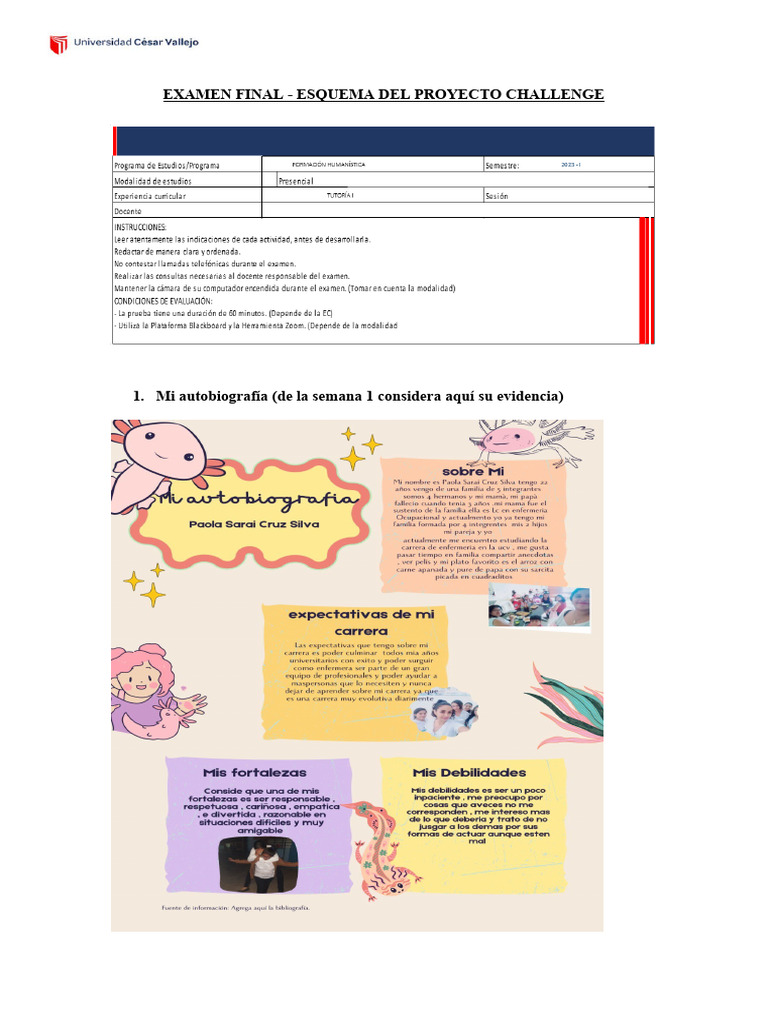 EXAMEN FINAL - PROYECTO CHALLENGE 16 | PDF