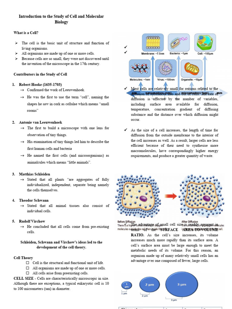 Module 1 Cell | PDF | Cell (Biology) | Endoplasmic Reticulum