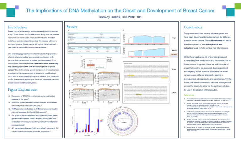 Cassidybiellak Poster Final | PDF