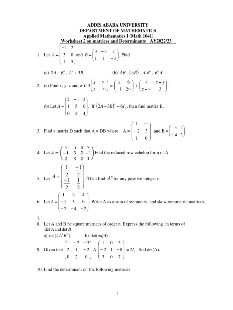 Applied Mathematics I (Math 1041) Worksheet II | PDF | System Of Linear Equations | Matrix Theory