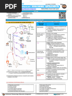 2d ICD-11 Coding Tool Examples | PDF | Medical Specialties | Diseases ...