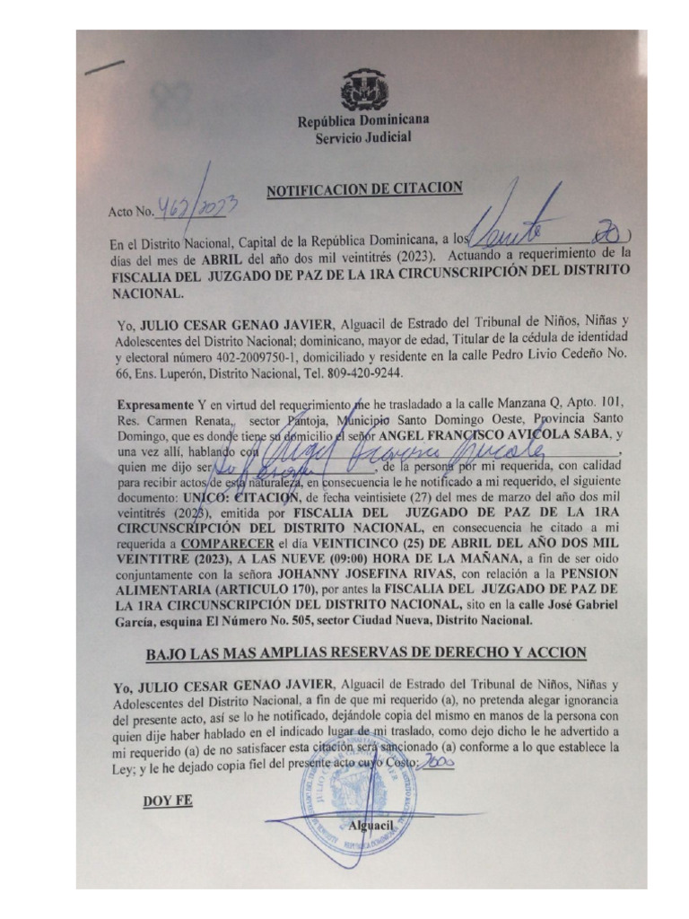 Acto de Alguacil | PDF