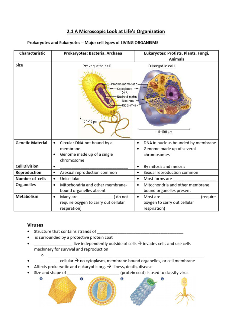 2.1 A Microscopic Look at Life's Organization 2.2 Comparing Bacteria ...