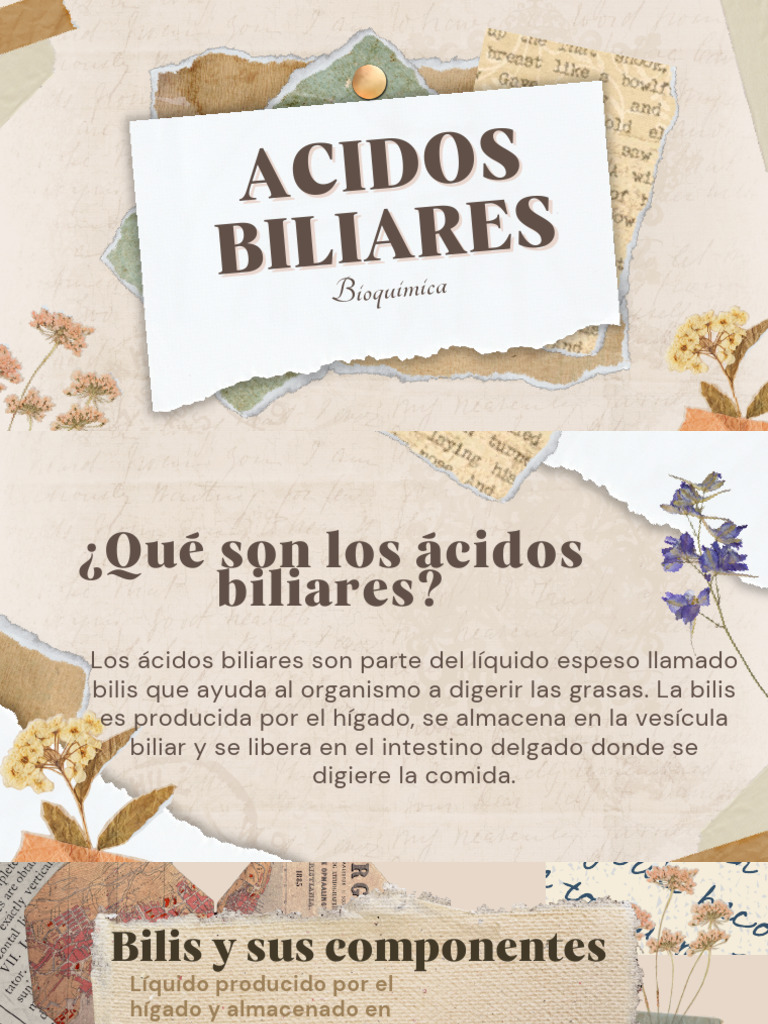 Función y clasificación de ácidos biliares | PDF | Bilis | Digestión