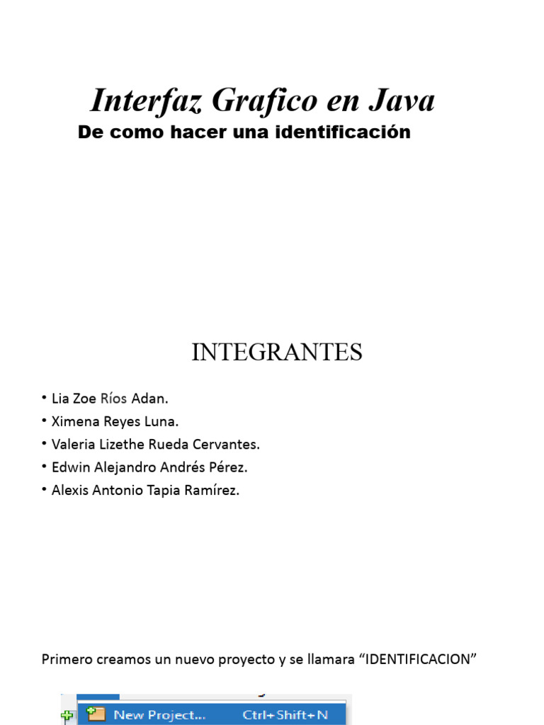Interfaz Grafico en Java | PDF