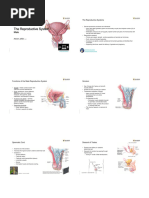 Understanding GTPAL in Obstetrics | PDF | Pregnancy | Childbirth