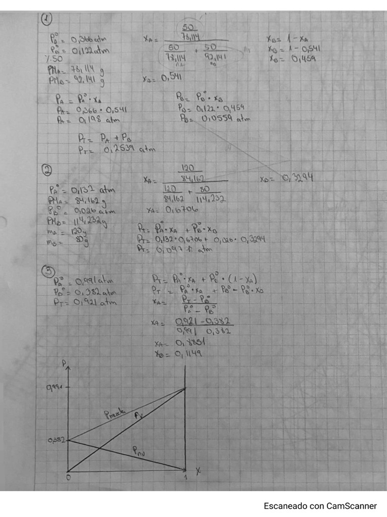 Practico Liquido Vapor | PDF