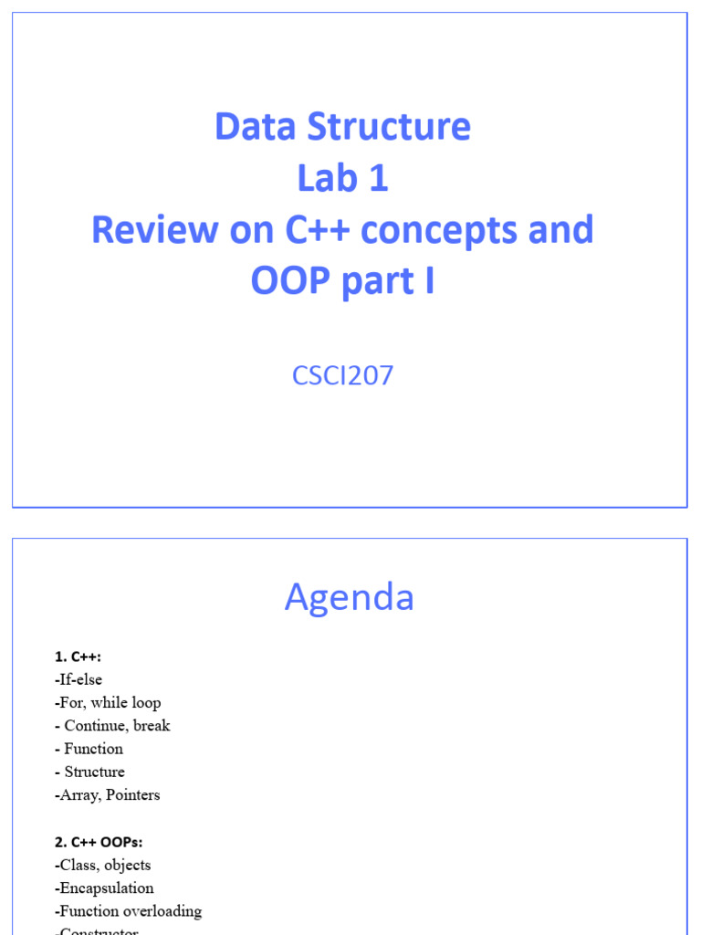 Lab1 Data Struct Pdf Programming Constructor Object Oriented Programming 2041