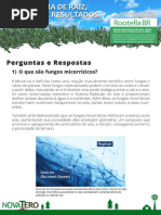 Bula do Fungicida Cypress 400 EC | PDF | Fungicida | Fungo