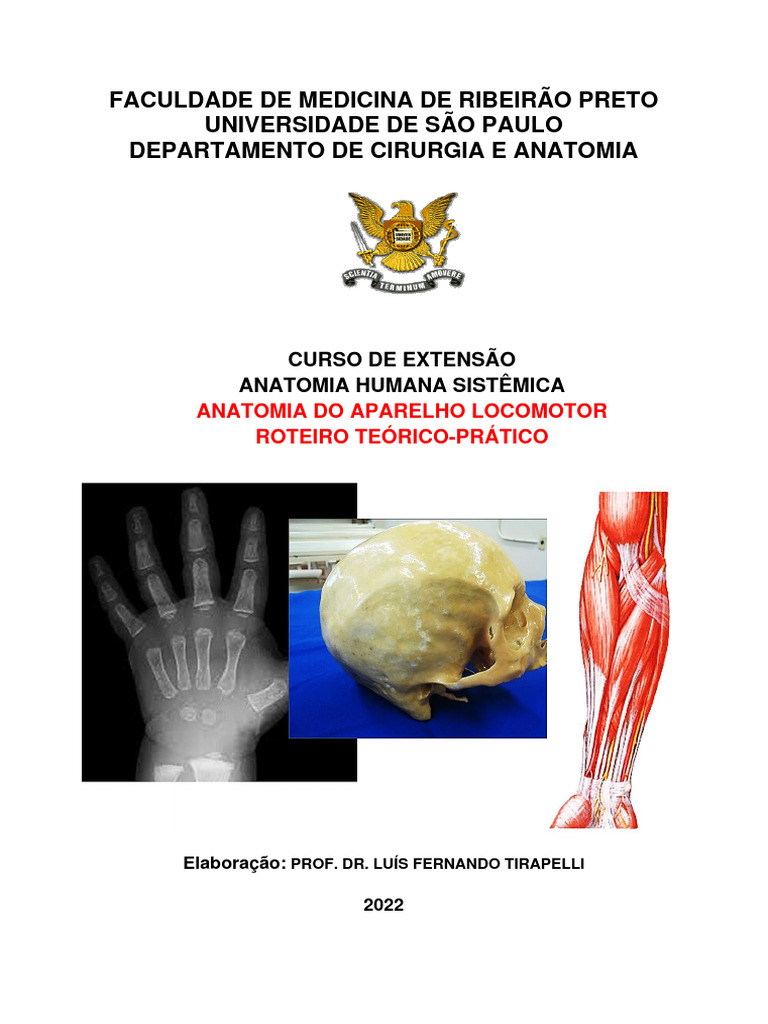 Anatomia do Aparelho Locomotor | PDF | Osso | Músculo esquelético
