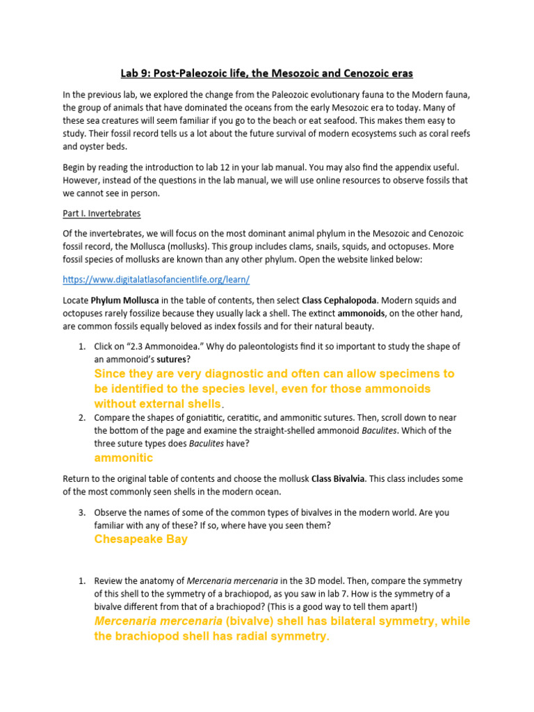 Lab 9 Exercise | PDF | Bivalvia | Mollusca