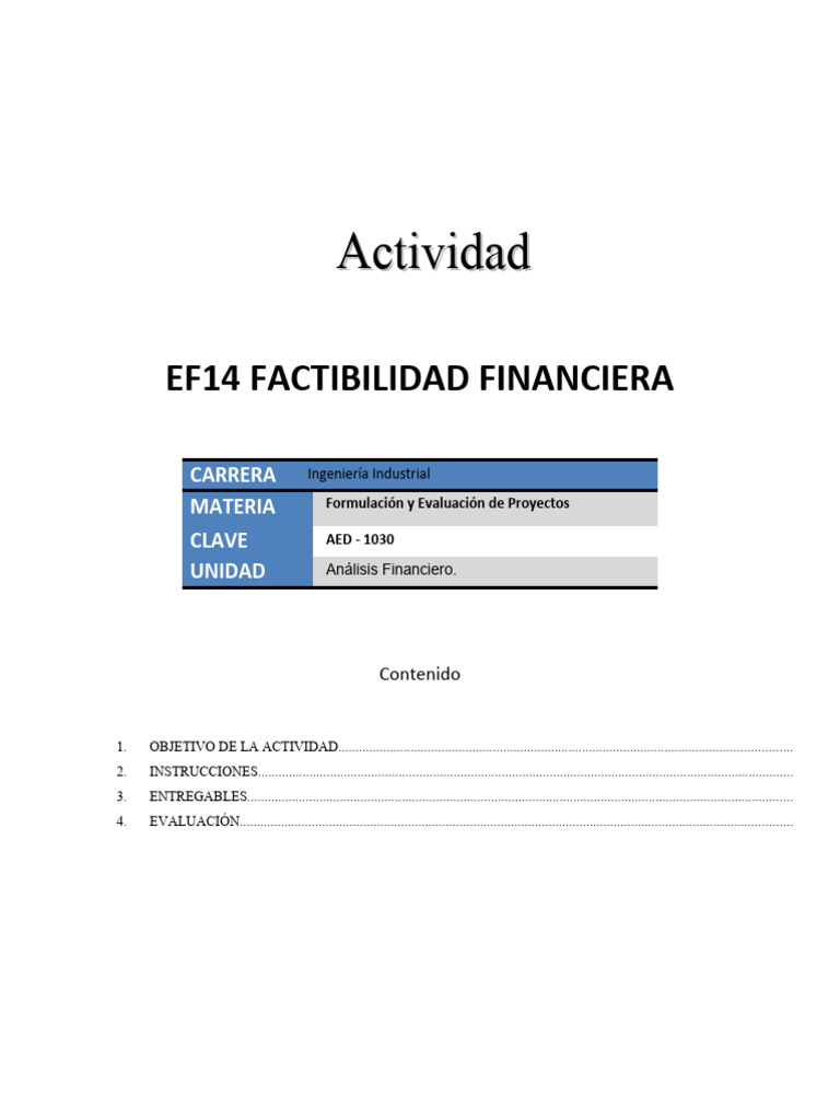 Ef14 Factivilidad Financiera | PDF | Negocios | Computadoras
