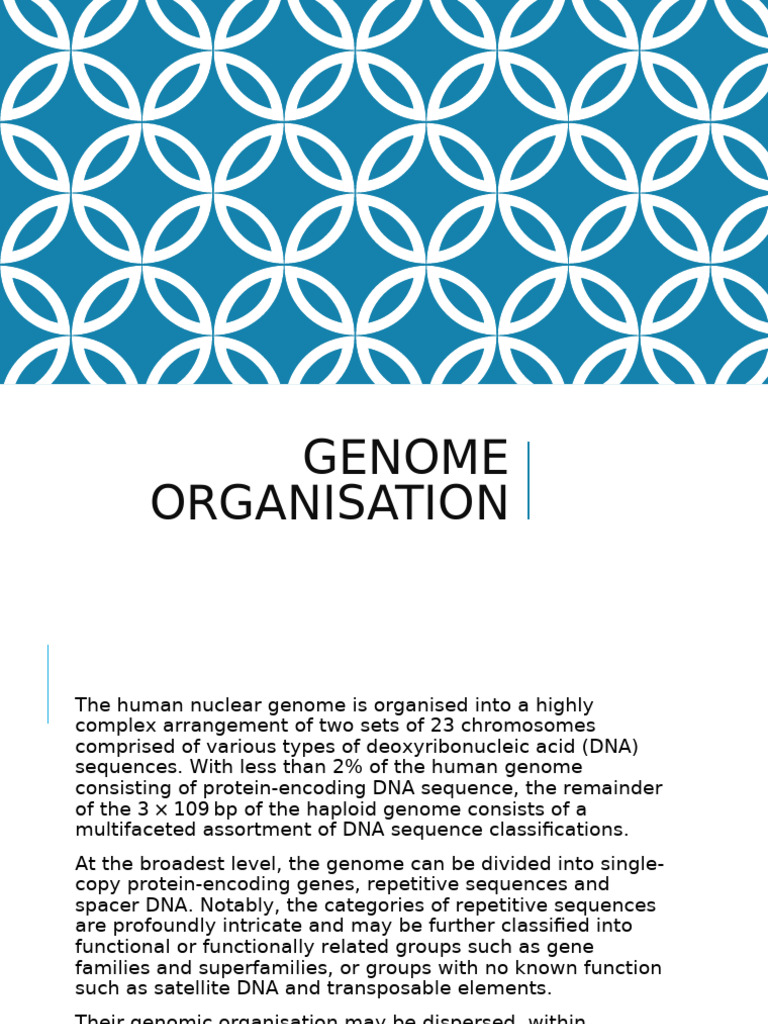 Human Genome Organization and Structure | PDF | Dna Replication | Gene