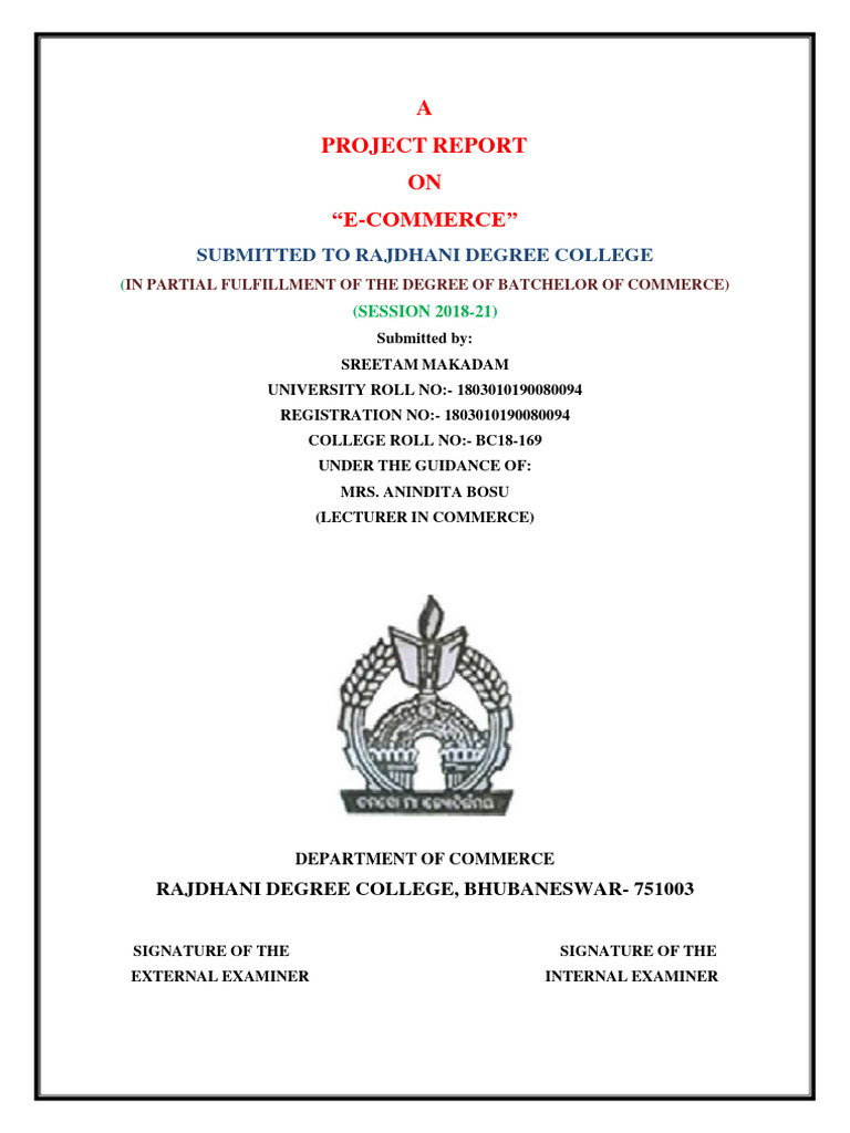 E-Commerce project | PDF | E Commerce | Internet