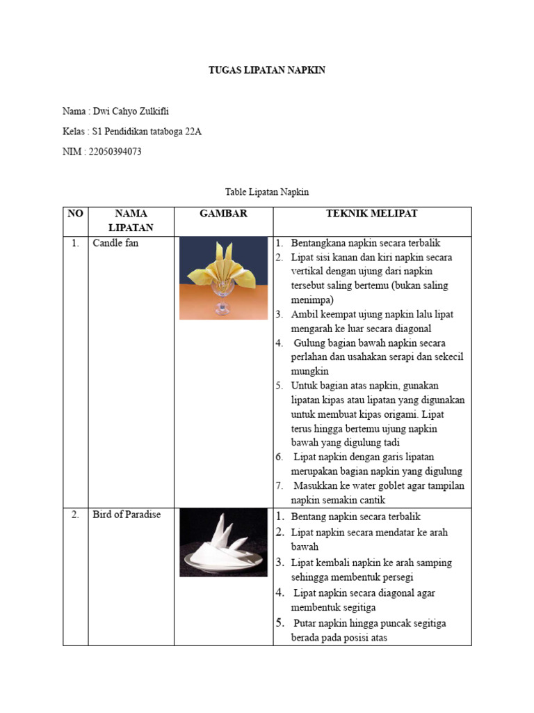 A - 073 - Dwi Cahyo Zulkifli - TUGAS LIPATAN NAPKIN | PDF