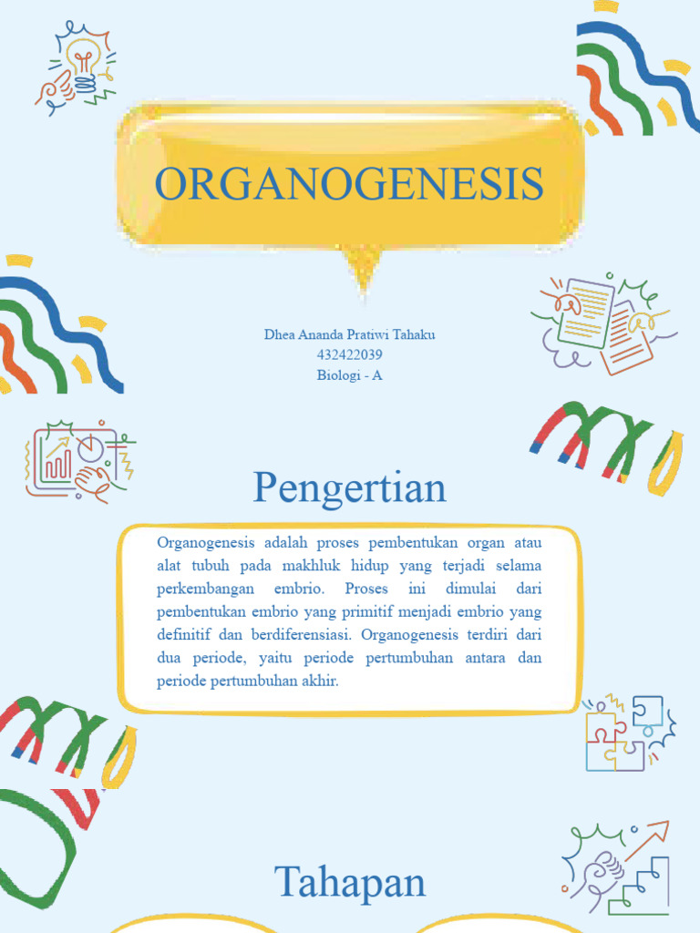 Organogenesis | PDF | Pengembangan Diri