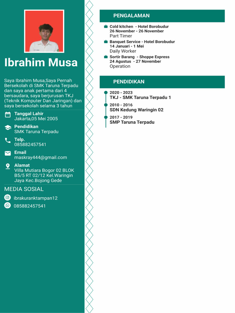 CV Ibrahim | PDF