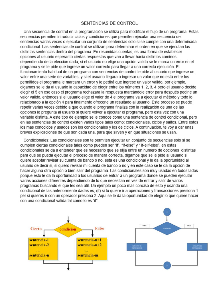 Sentencias de Control | PDF | Programa de computadora | Programación