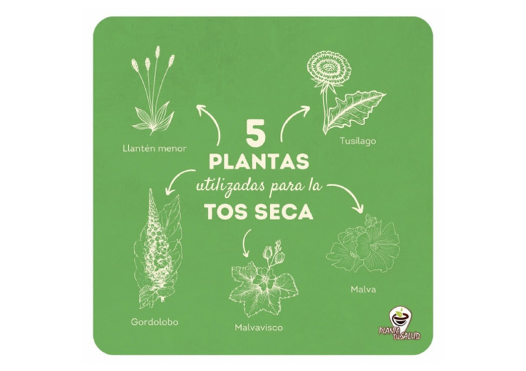 5 Plantas Para La Tos Pdf