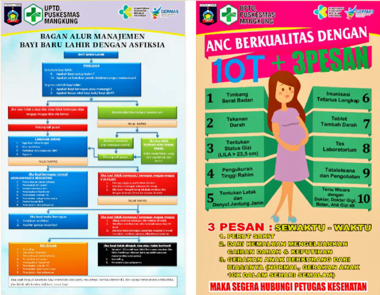poster kesehatan ibu dan anak | PDF