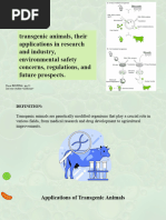 ENVIROPIG | PDF | Genetically Modified Organism | Transgene